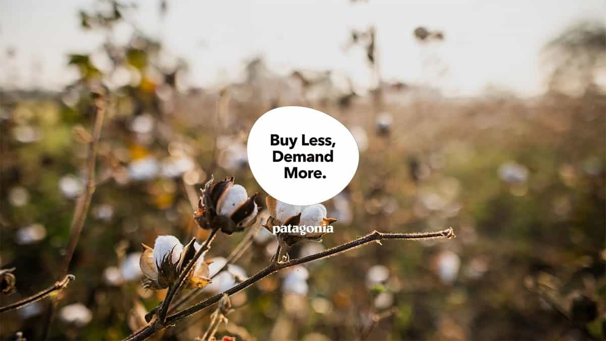 Patagonia Buy Less Demand More: Customers Encouraged to Buy Used ...
